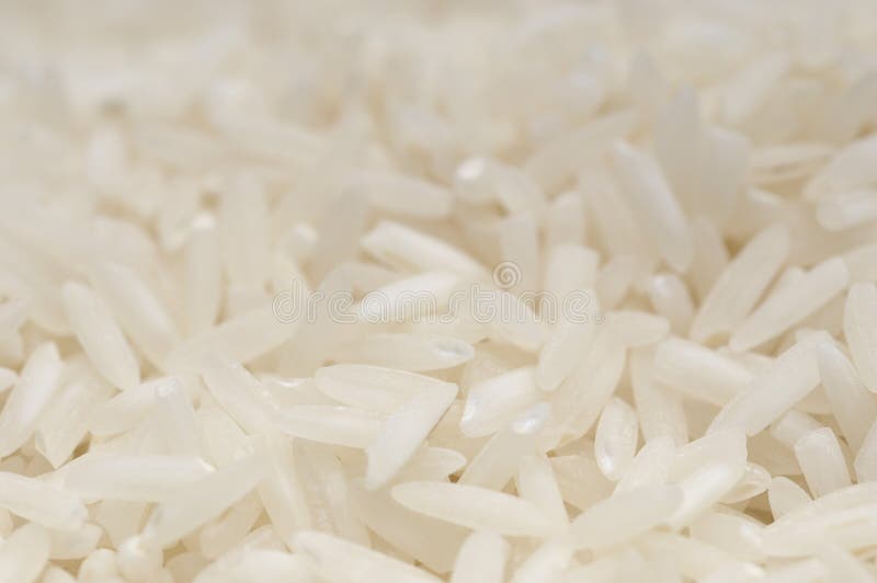 Uncooked Rice stock image. Image of organic, nutrient - 29661549