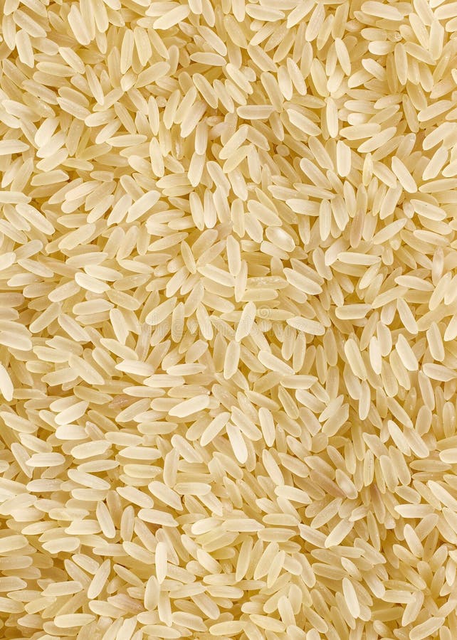 Uncooked rice background stock photo. Image of cereal - 344136896