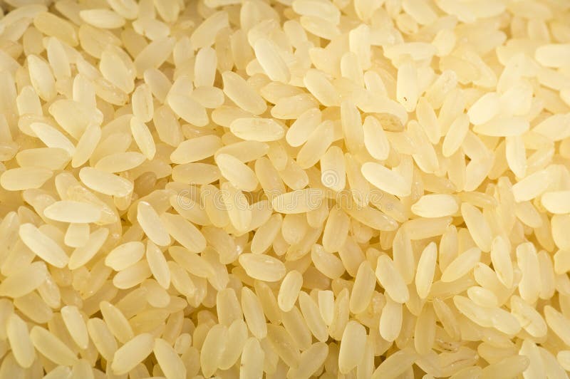 Uncooked rice stock image. Image of eating, heap, asian - 36698581