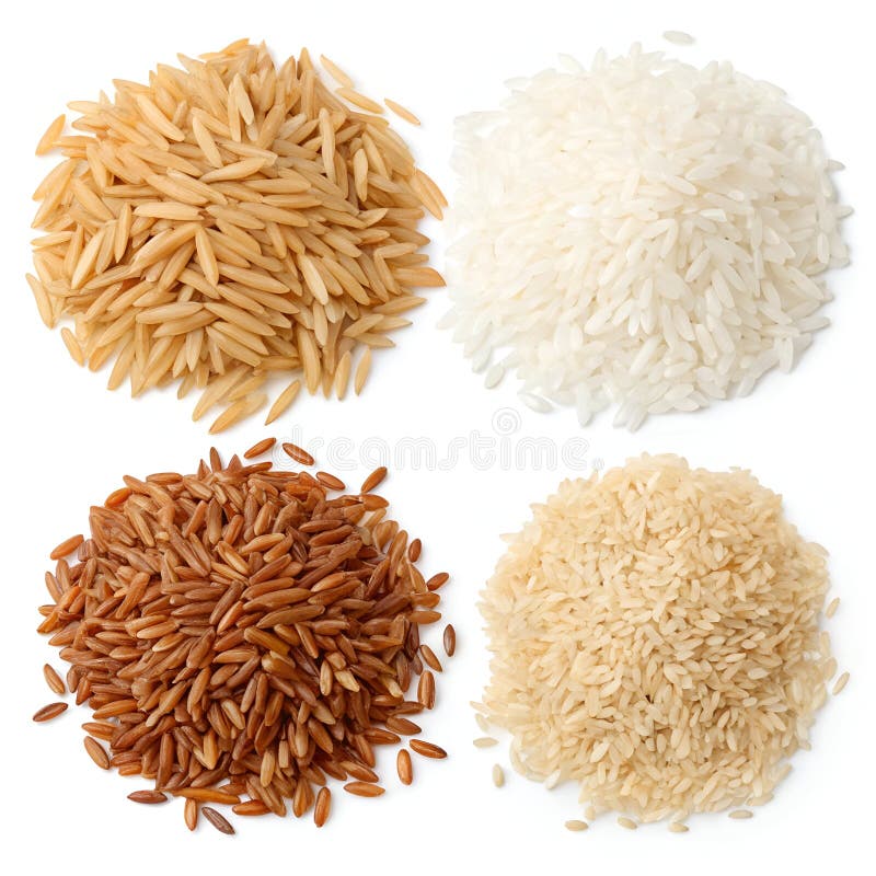 Uncooked Rice Grains Isolated on White Background Stock Illustration ...