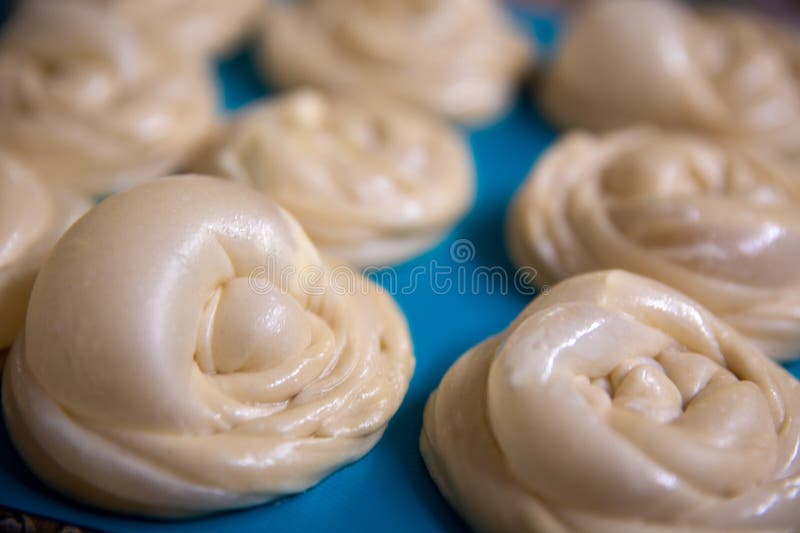Uncooked Roti Canai Dough stock image. Image of closeup - 270585161
