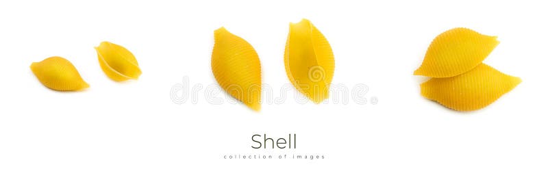 Pasta Set Isolated on White, Different Kinds of Macaroni and Spaghetti ...