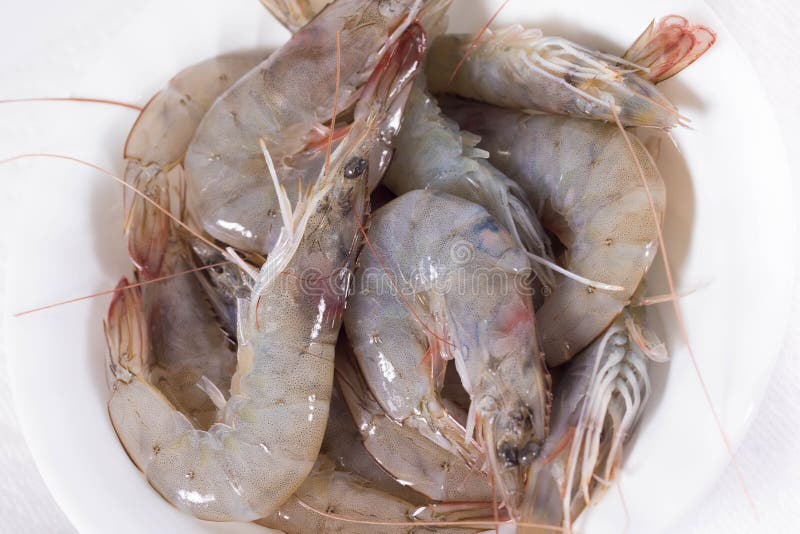 Fresh Uncooked Shrimp in the Bowl Stock Photo - Image of asian, diet ...