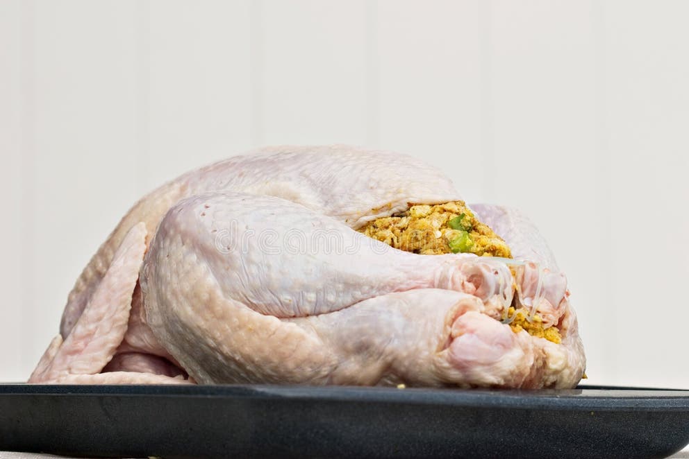 Uncooked stuffed turkey stock photo. Image of poultry - 10302782