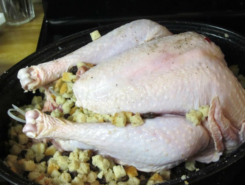 Uncooked Turkey stock photo. Image of holiiday, stuffing - 43725910