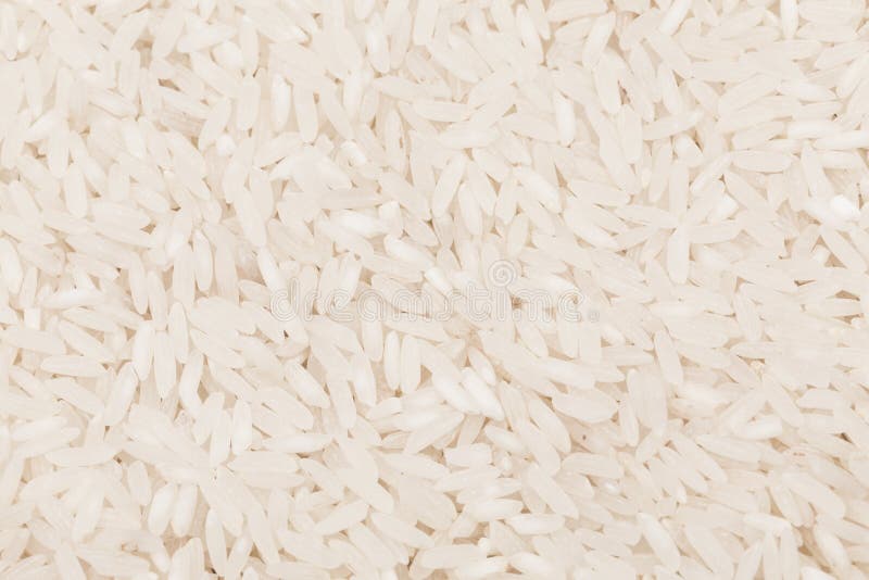 Uncooked white rice stock image. Image of gourmet, long - 50216069