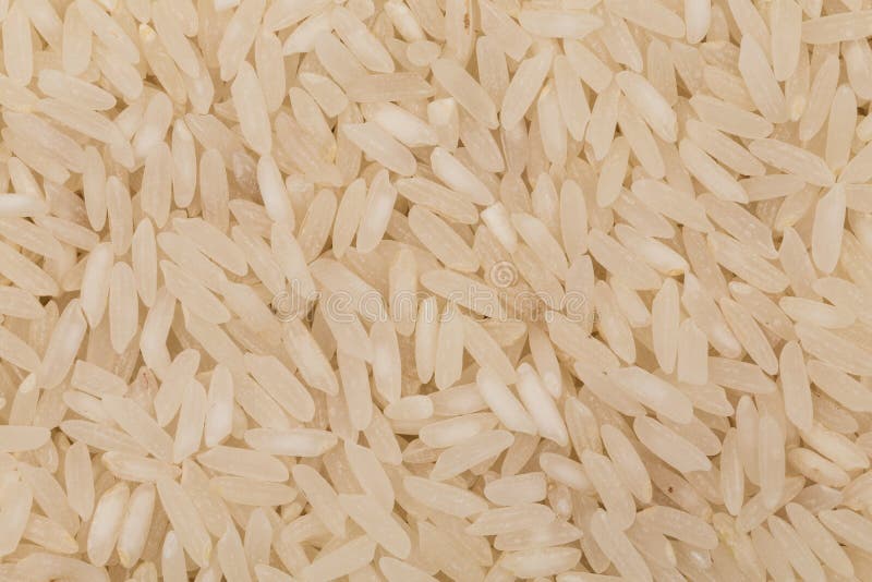 Uncooked white rice stock photo. Image of dinner, ethnic - 64836240
