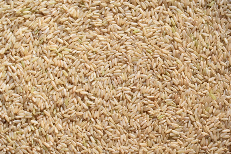 Uncooked Whole Brown Color Rice Stock Photo - Image of culture, diet ...