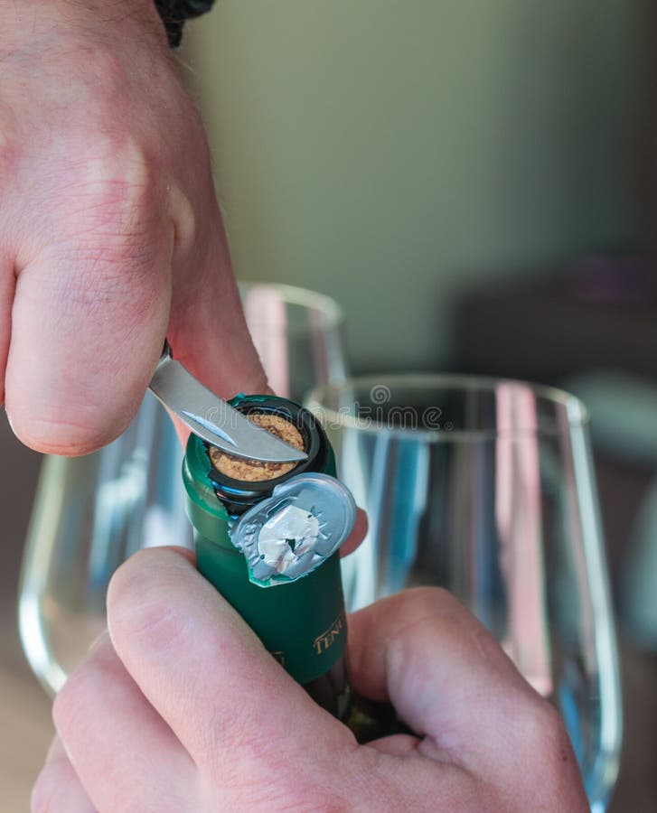Uncork a bottle of wine stock image. Image of open, corkscrew - 241102099