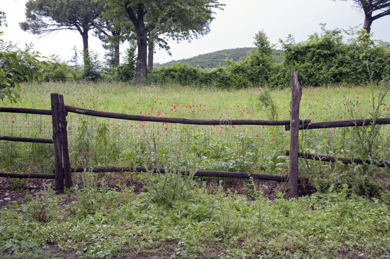 Uncultivated Fields on the Mountain. Stock Image - Image of countrified ...