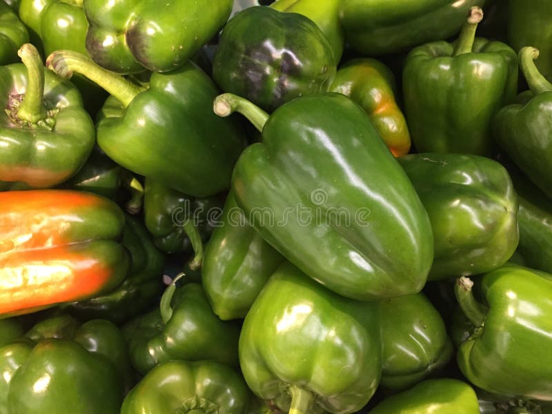 Bell pepper, Capsicum stock photo. Image of wooden, bell - 165269270