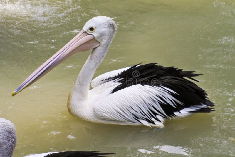 Undan Glasses Stock Photos - Free & Royalty-Free Stock Photos from ...