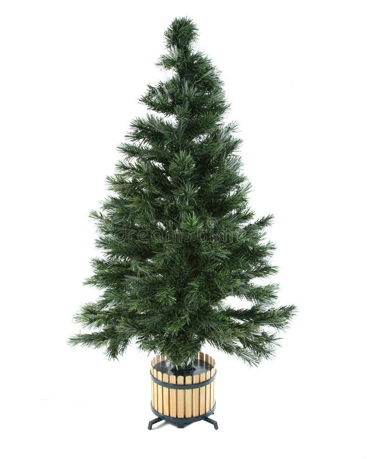 Undecorated Christmas tree stock image. Image of celebrate - 6584219
