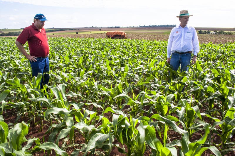 Undefined farmers editorial stock photo. Image of field - 64295673