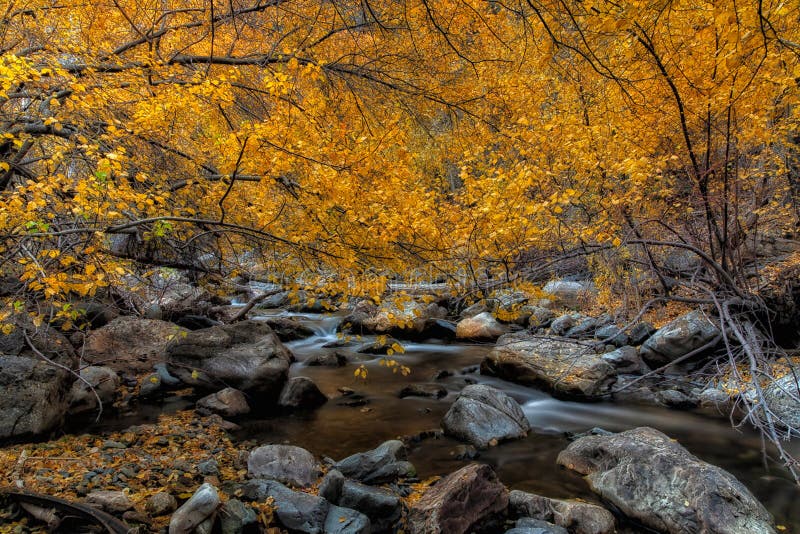 Under Autumn Leaves stock photo. Image of river, mountains - 132698872