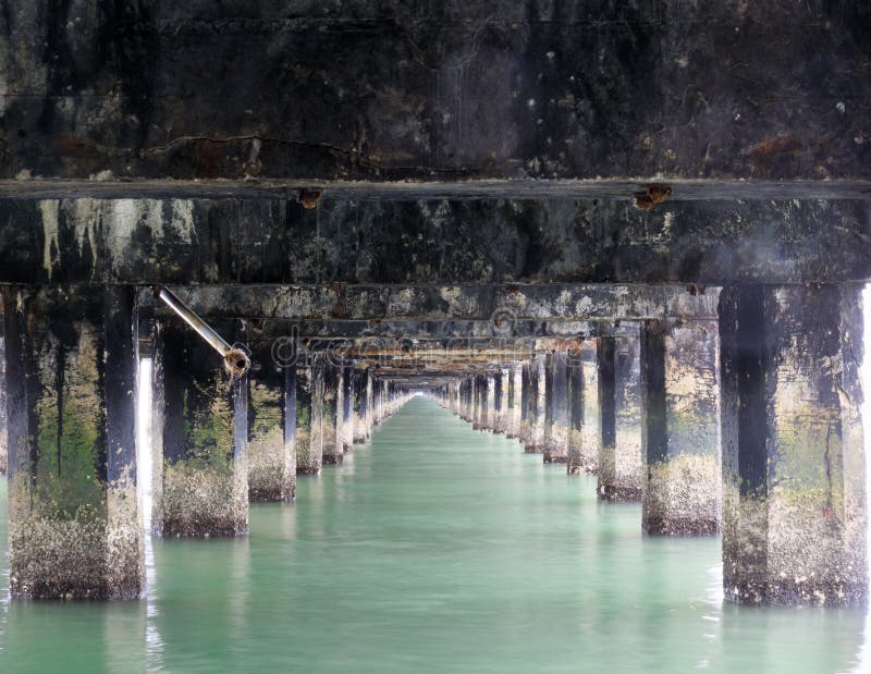 Under Berkeley Pier stock photo. Image of grunge, landmark - 210607846