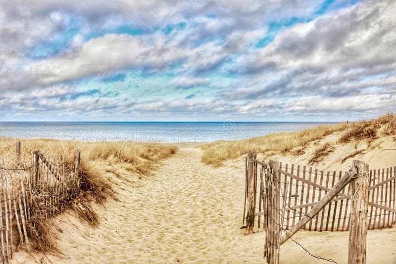 Cape Cod Empty Ocean Beach in Winter Stock Image - Image of cape, grass ...