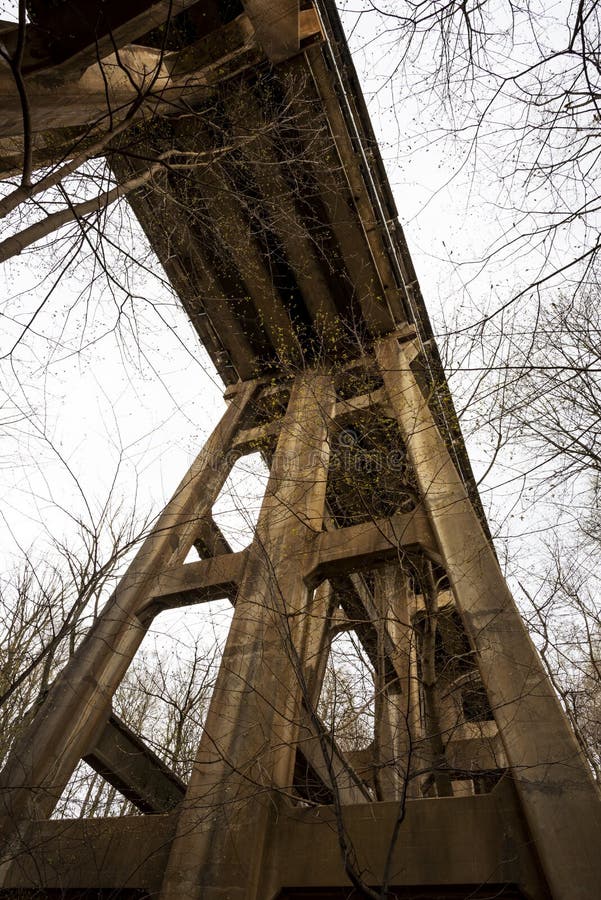 Under a Concrete Bridge Surrounded by Trees in Autumn Stock Photo ...