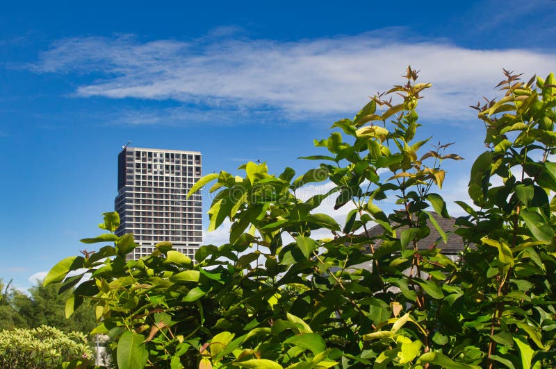 Under Construction Building Behind Tree Lines Stock Image - Image of ...