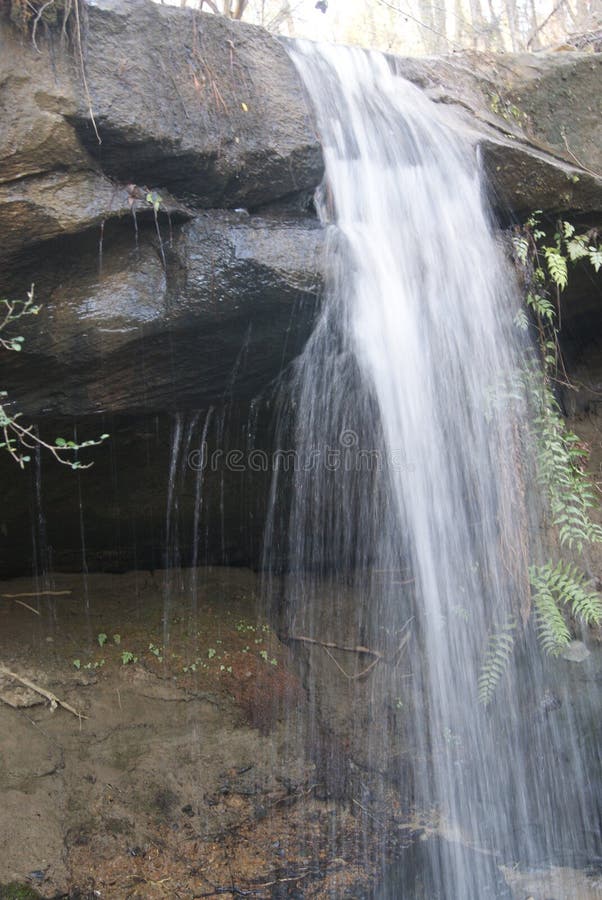 Under current stock photo. Image of rapid, current, jungle - 266764906