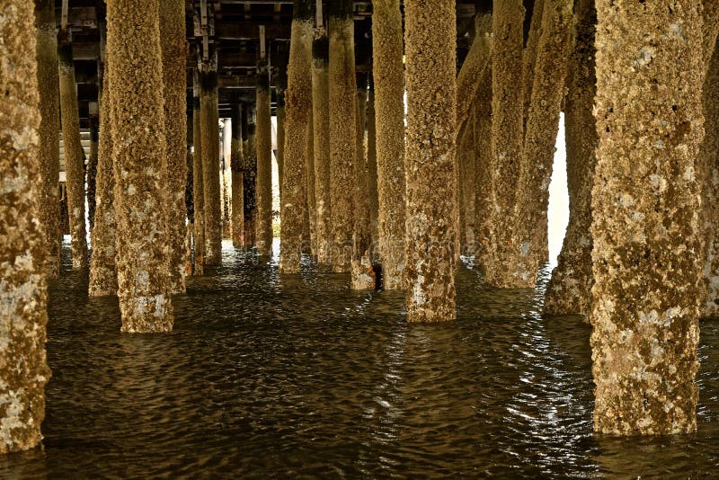 Under the Docks stock image. Image of ripples, saltwater - 97630911