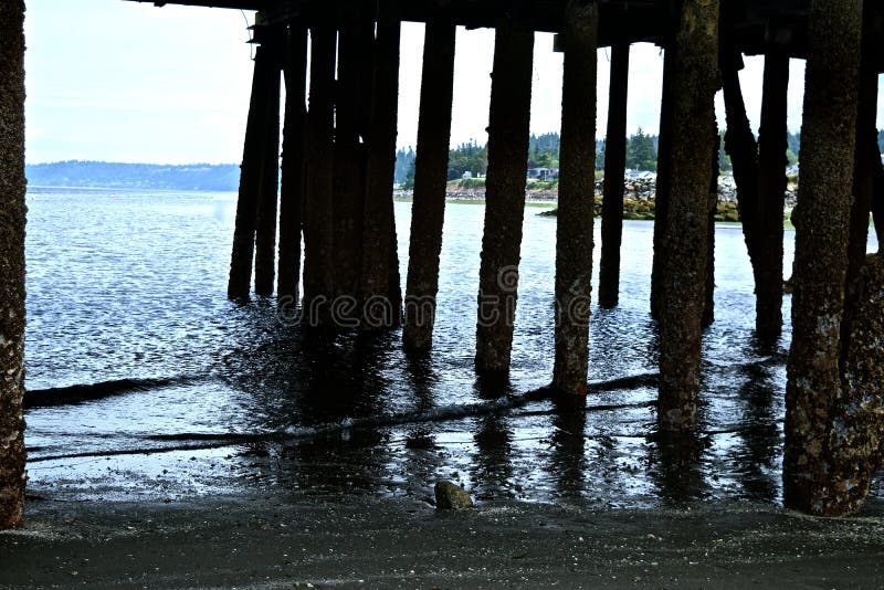 Under the Docks stock image. Image of leeches, poles - 97630953