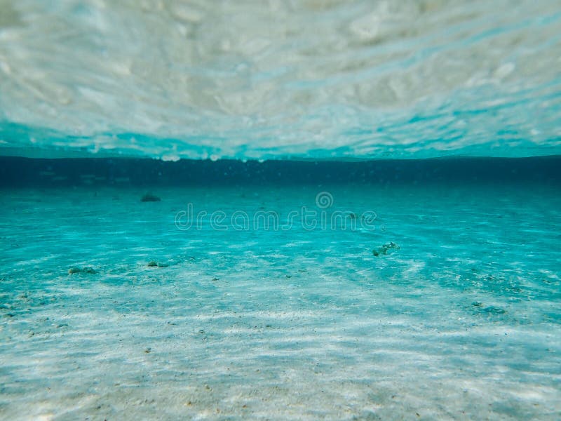 Under havet arkivfoto. Bild av fisk, fartyg, porslin - 123096248