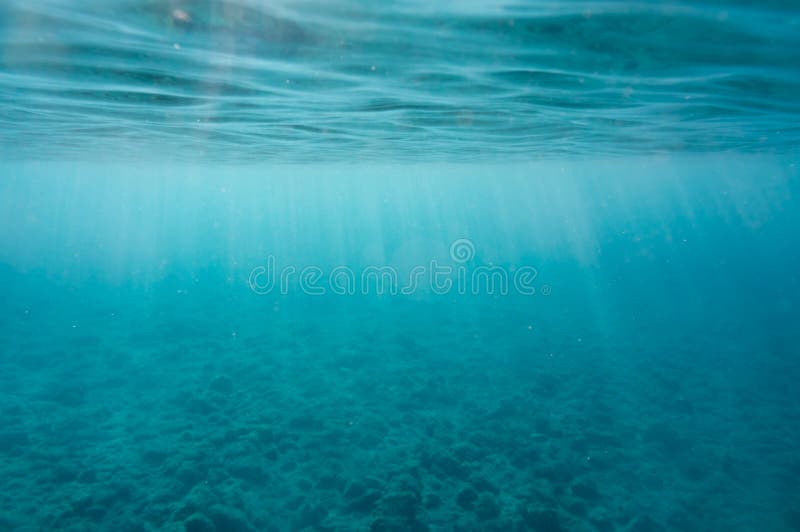 Stanchev (Stanchev) - Photos