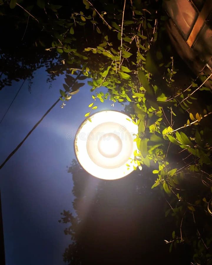 Under the Light of a Light Bulb Stock Photo - Image of abstract ...