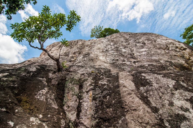View from the cliff stock photo. Image of view, holidays - 67984566