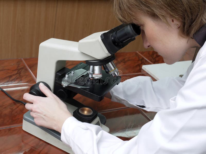 Under microscope stock image. Image of magnify, microbiology - 8154055