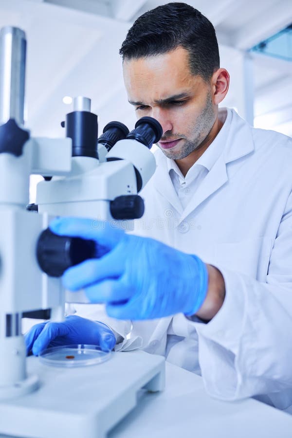 Under the Microscope. a Handsome Young Male Scientist Working with a ...