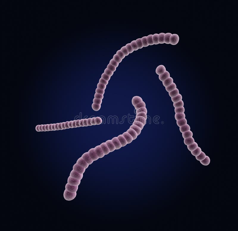 Under the Microscope, Streptococcus Stock Illustration - Illustration ...