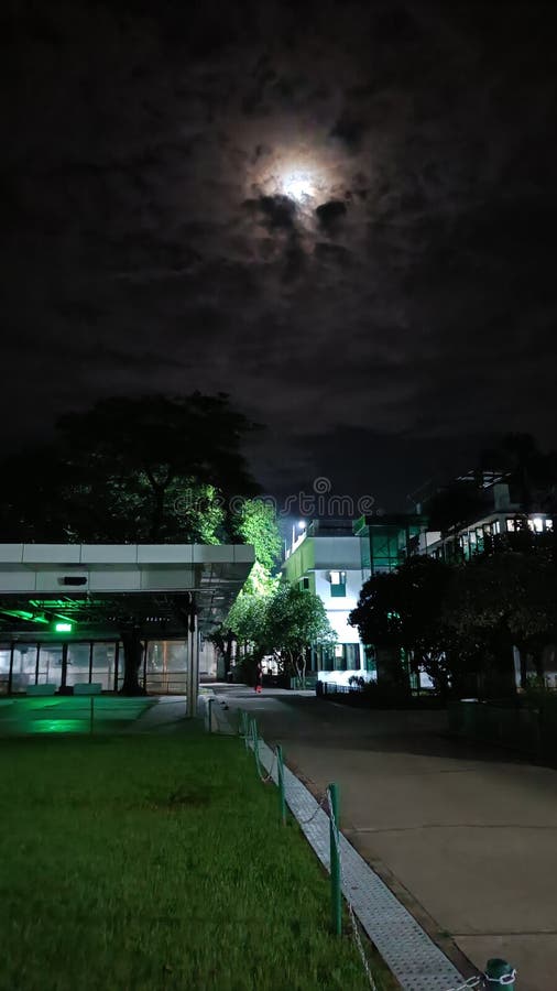 Under moon light stock image. Image of green, sunlight - 269204577