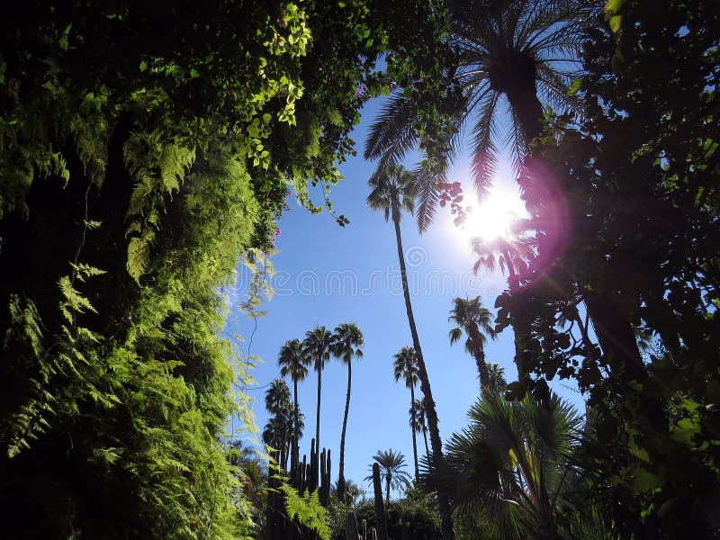 Under Morocco sun stock image. Image of north, walking - 81646791