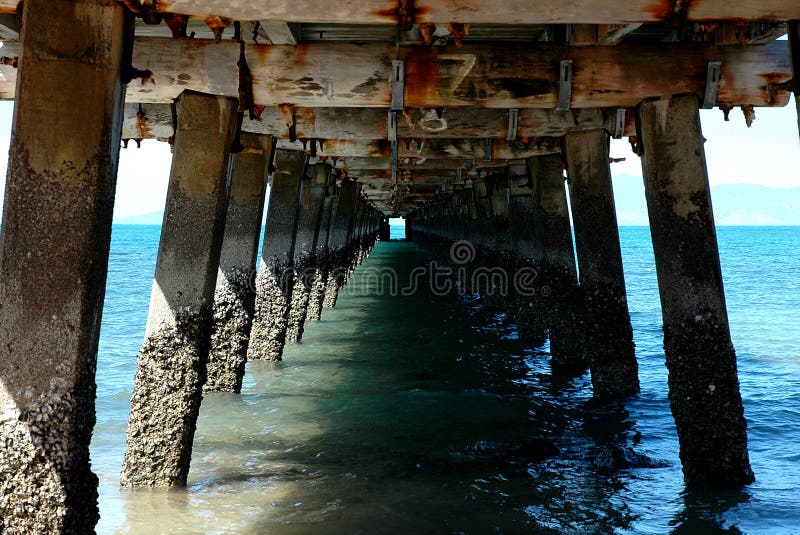 Under the Pier stock image. Image of water, barnacles, jetty - 294851