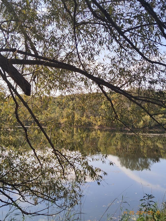 Under Pressure Plz Let& X27;s Go Stock Image - Image of pressure, fall ...