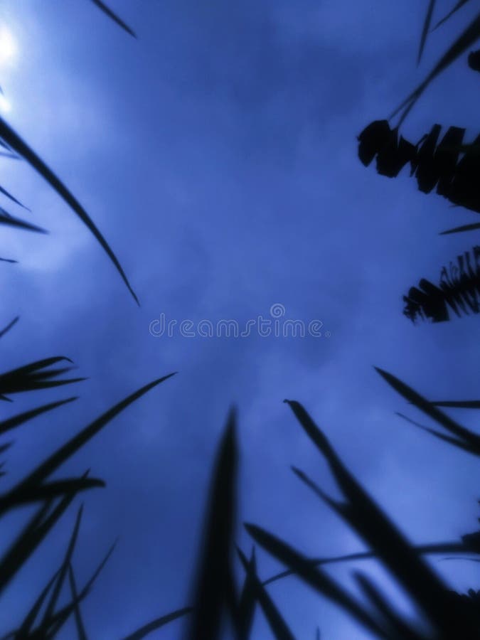 Under the Real Beauty of Nature with Love Stock Image - Image of real ...