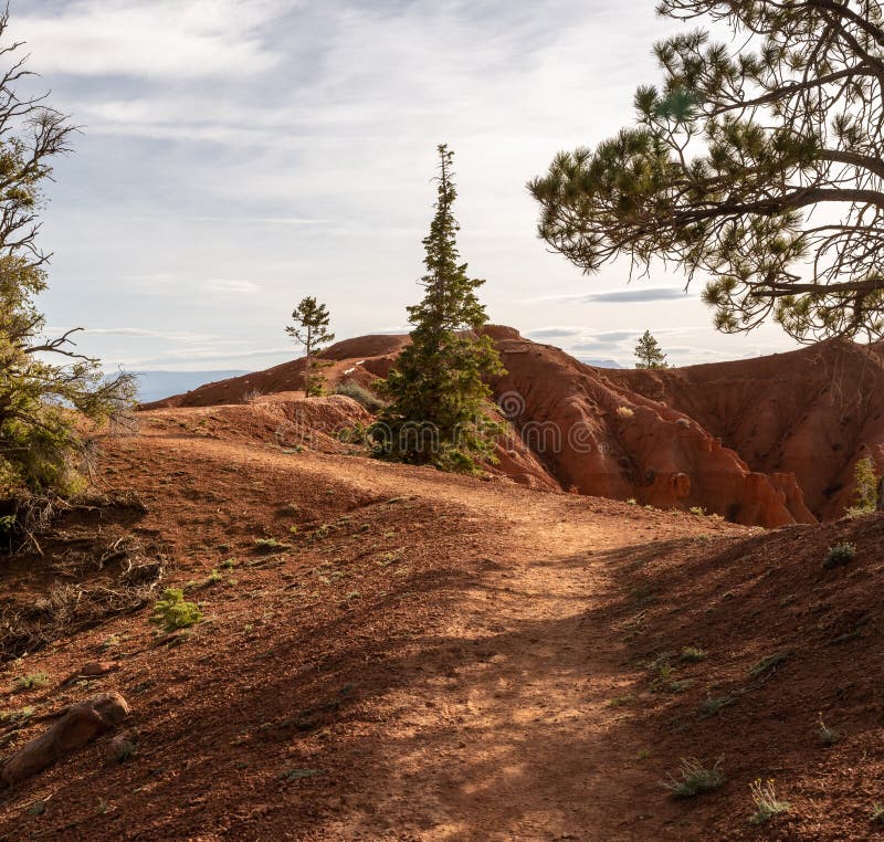 Under the Rim Trail Heads Up Toward Bend Over Ridge Stock Image - Image ...