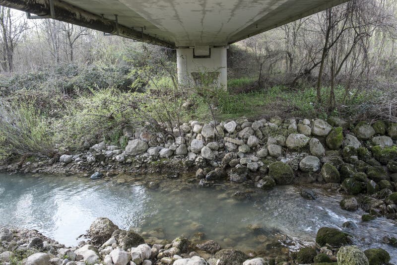 Under a road bridge stock photo. Image of branches, autumn - 69502732