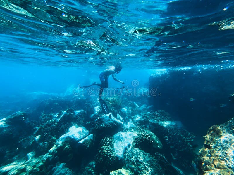 Under the Sea Travel in the Diving Sea Stock Image - Image of reef ...
