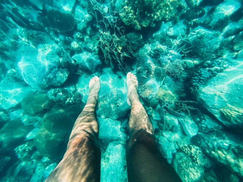 Under the Sea Travel in the Diving Sea Stock Photo - Image of travel ...