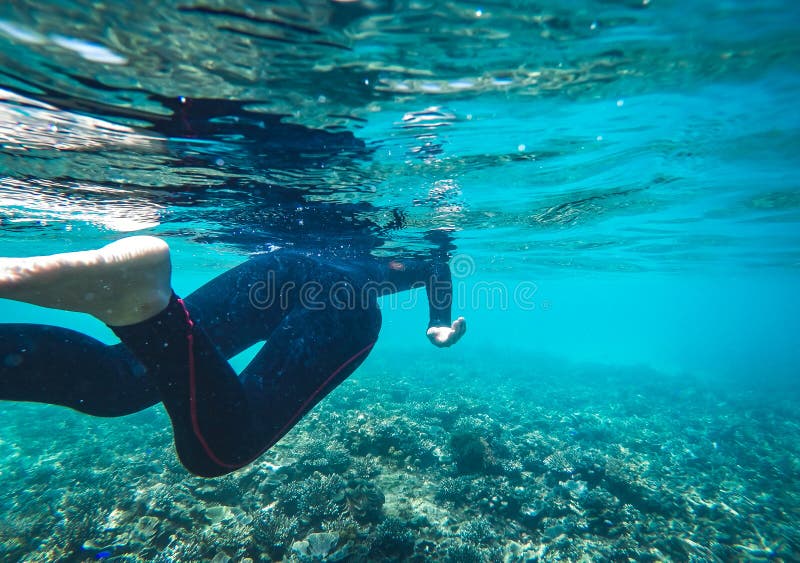 Under the Sea Underwater Blue Dive Island Stock Image - Image of ...