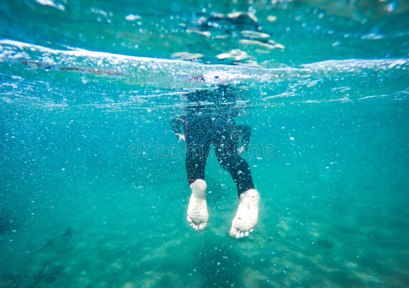 Under the Sea Underwater Blue Dive Island Stock Image - Image of dive ...