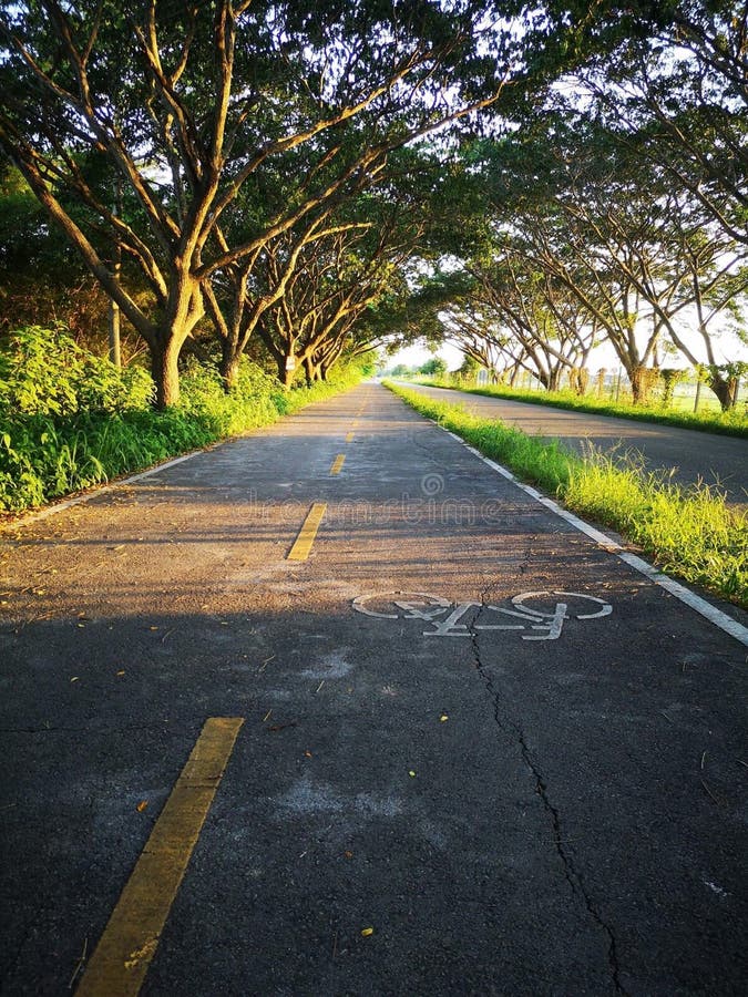 A Long Pathway that is Perfect for Walking and Cycling, Providing an ...