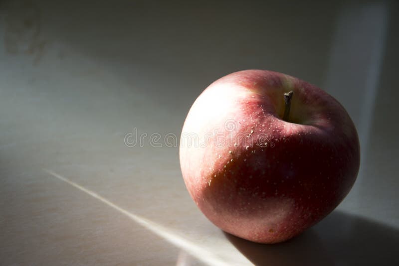 Under the shadow of apple stock photo. Image of fruit - 83287794