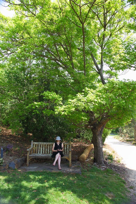 1,033 Bench Under Shade Tree Stock Photos - Free & Royalty-Free Stock ...