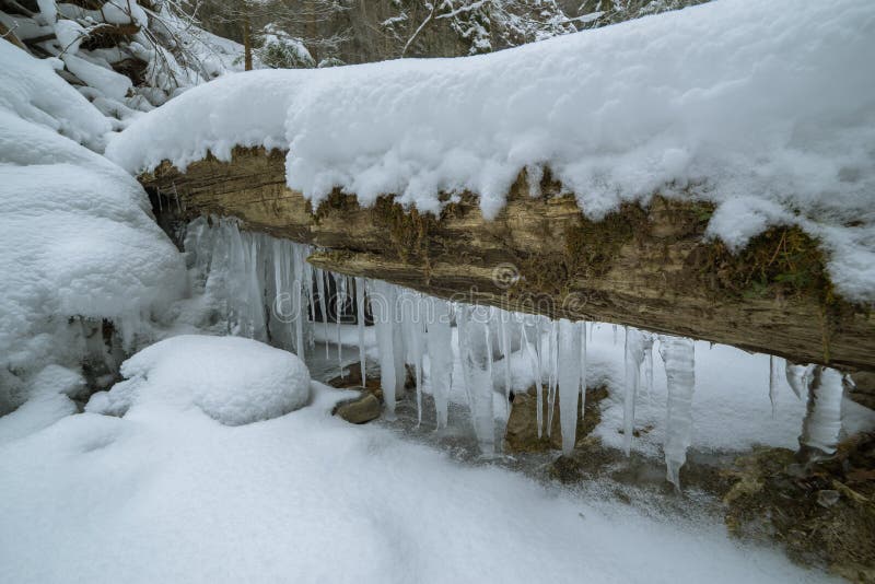 Icicles on a fallen tree stock image. Image of stream - 171885863