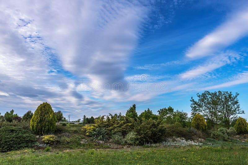 Under the spring sky stock image. Image of light, shadows - 184385485