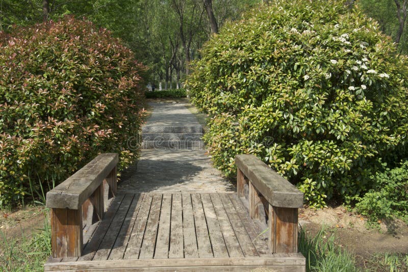 Small Bridges and Green Trees Stock Image - Image of trees, parks ...